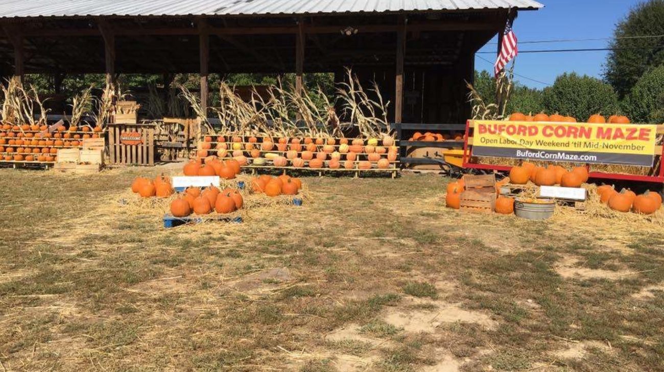 Explore Gwinnett | 6 Ways to Celebrate Labor Day